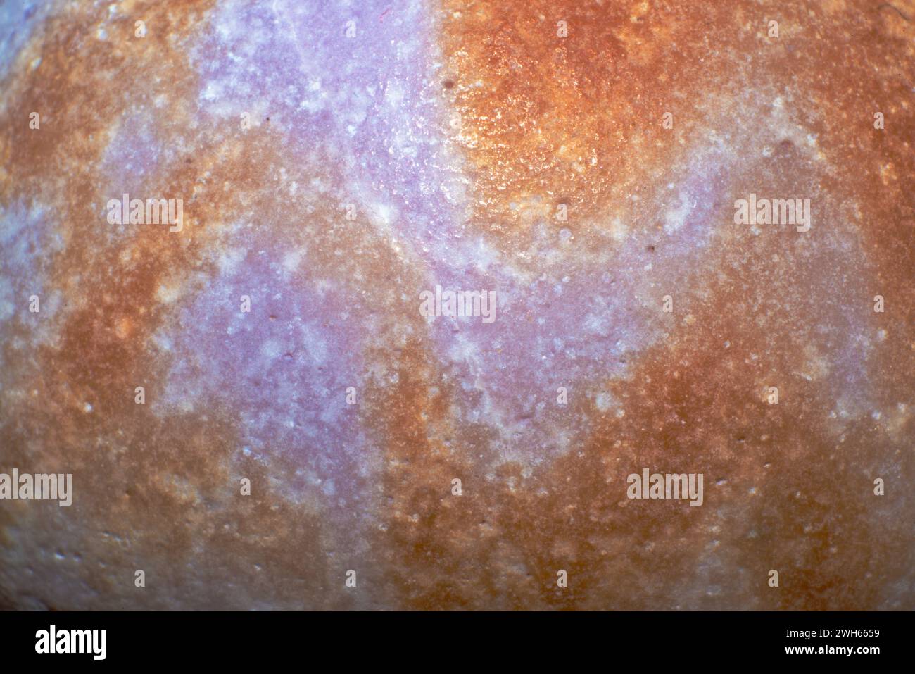 Oceanicdetail hi-res stock photography and images - Alamy