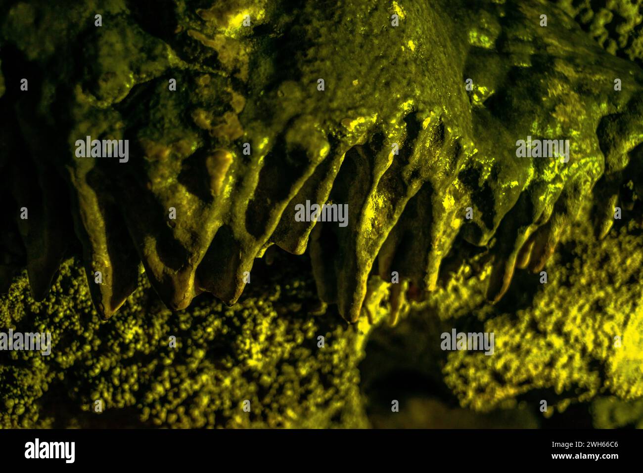 Journey through a vibrant cave adorned with colorful walls, stalactites ...