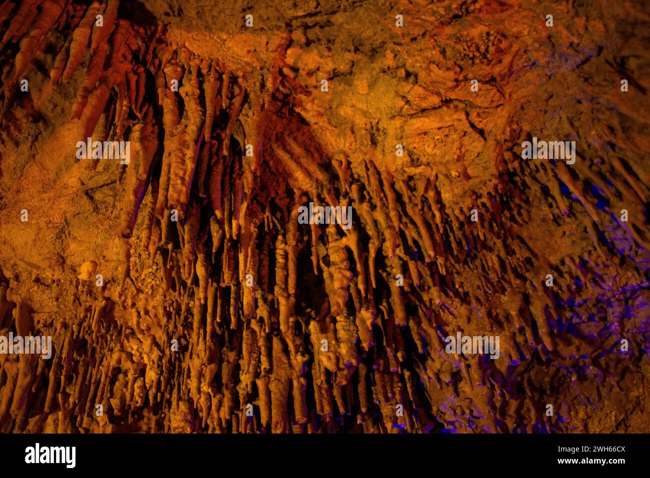 Journey through a vibrant cave adorned with colorful walls, stalactites ...