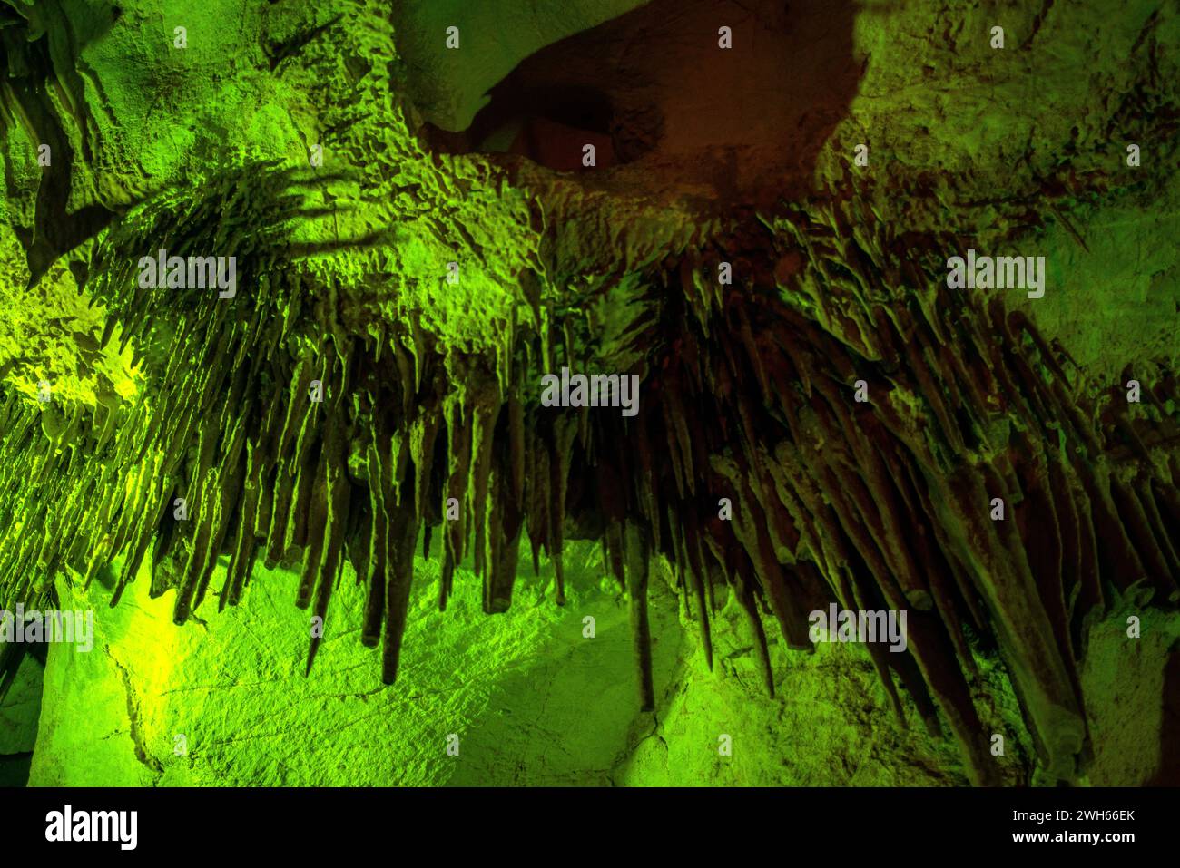 Journey through a vibrant cave adorned with colorful walls, stalactites ...