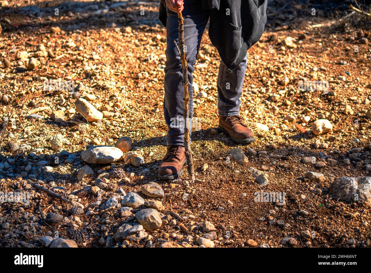 Conductor baton hi-res stock photography and images - Alamy