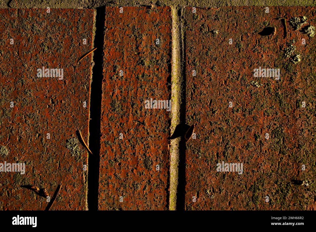 A close-up unveils the textured details of a brick wall, showcasing the ...