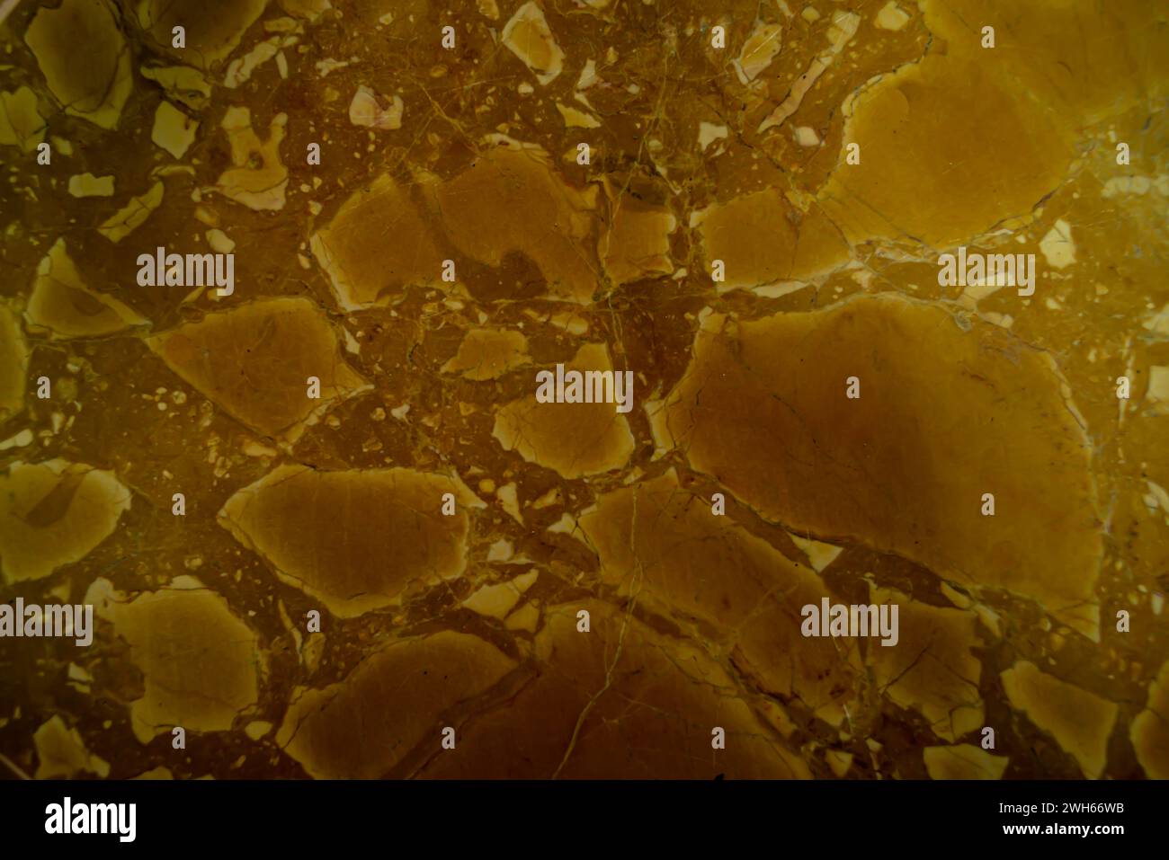 A captivating texture photo showcasing the intricate pattern and modern ...