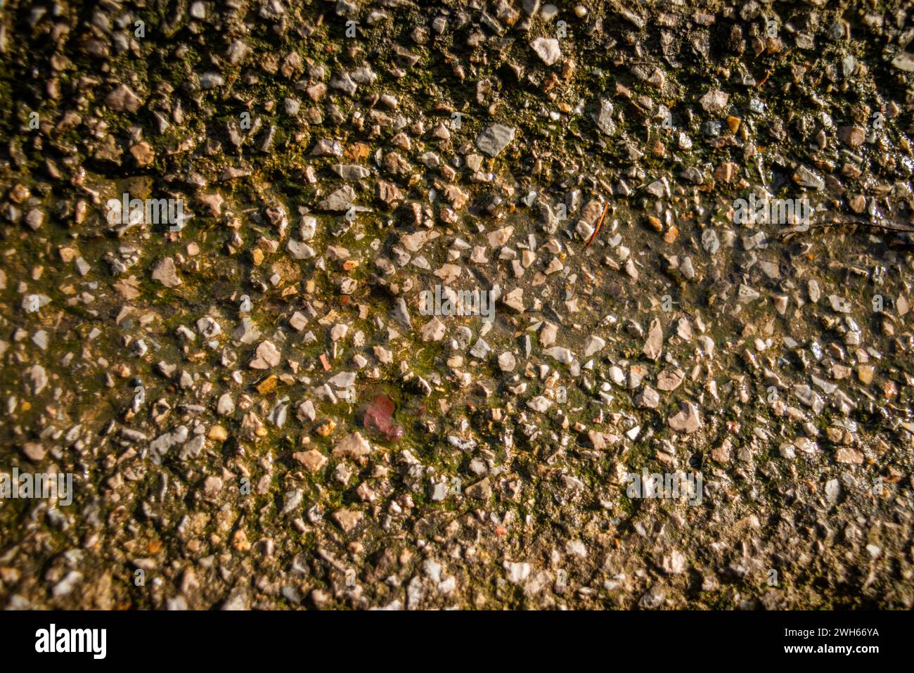 A detailed close-up photo capturing the textured surface of an asphalt ...