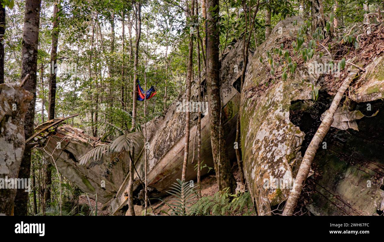 The wreckage of a crashed small passenger plane. the plane fell to the ...