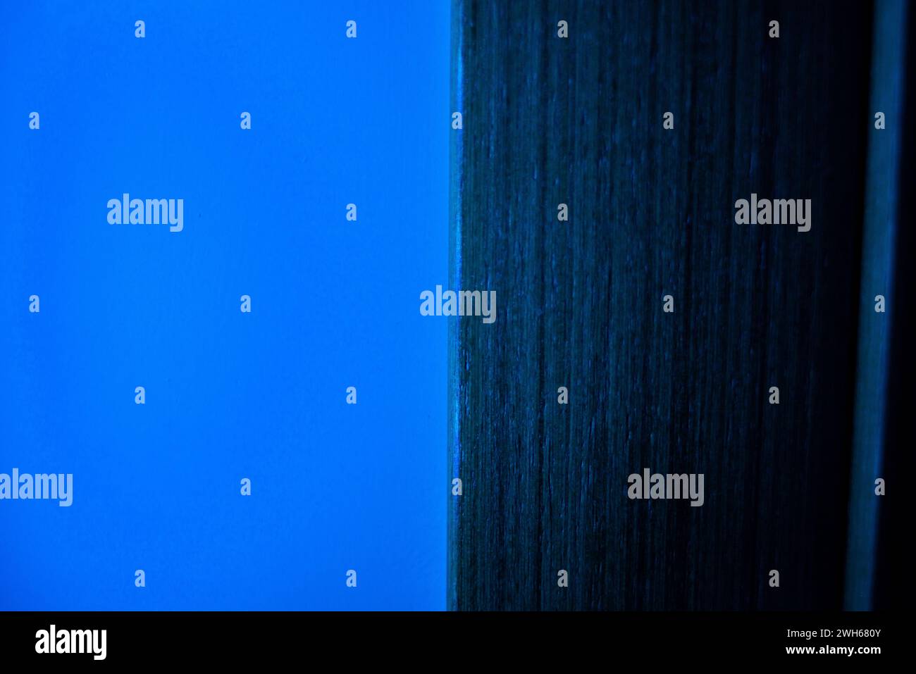 A serene light blue background graces the wall, offering a gentle and ...