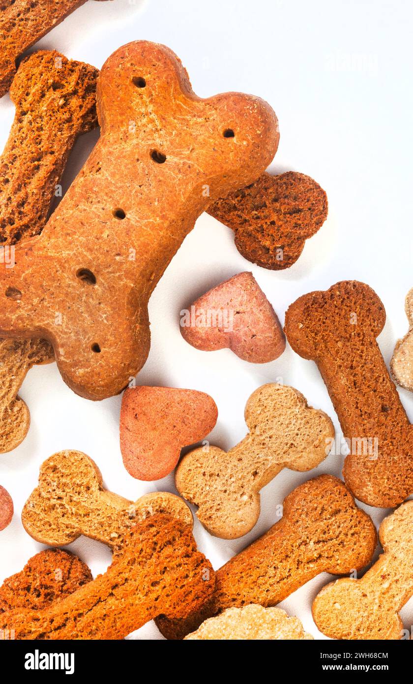 selection of crunchy dog biscuits on white with copy space Stock Photo ...