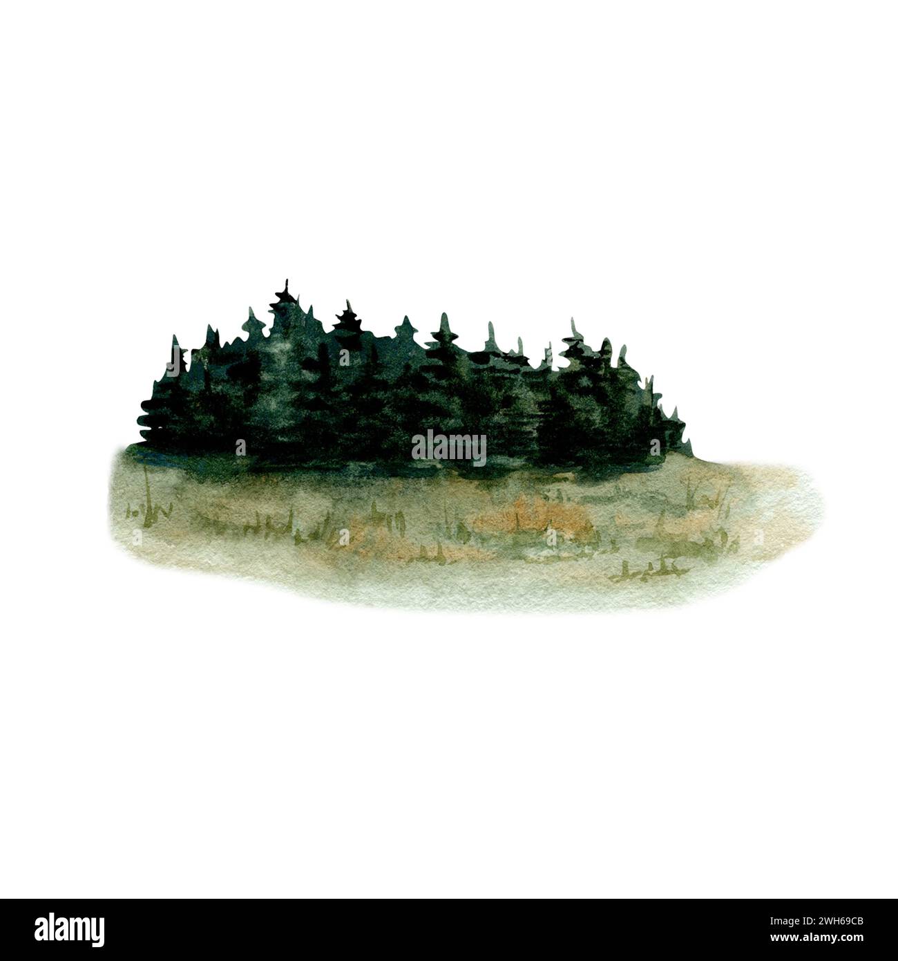 Green tree tops, grass strip and fir tree backdrop. Pines forest ...