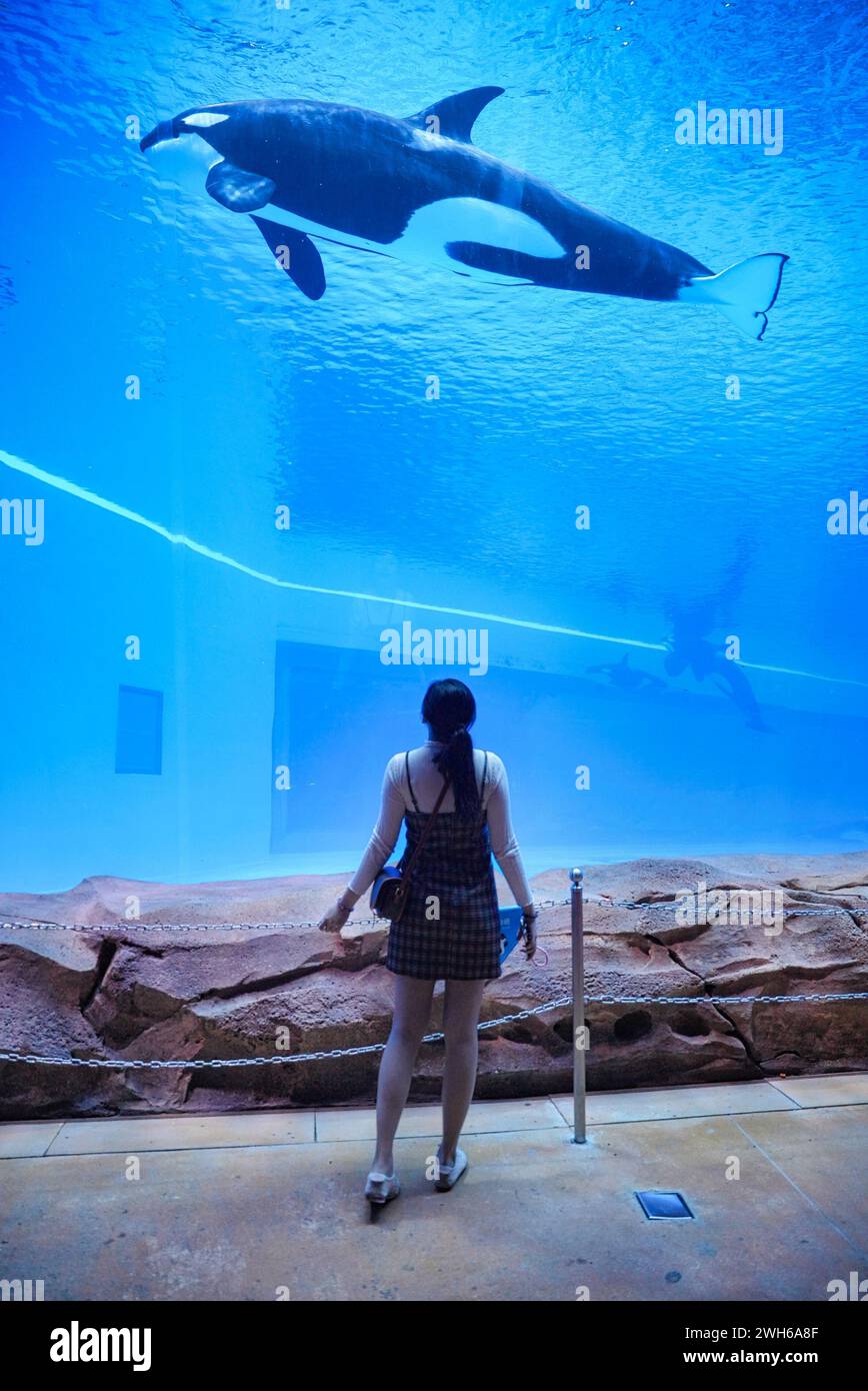 Marveling hi-res stock photography and images - Alamy