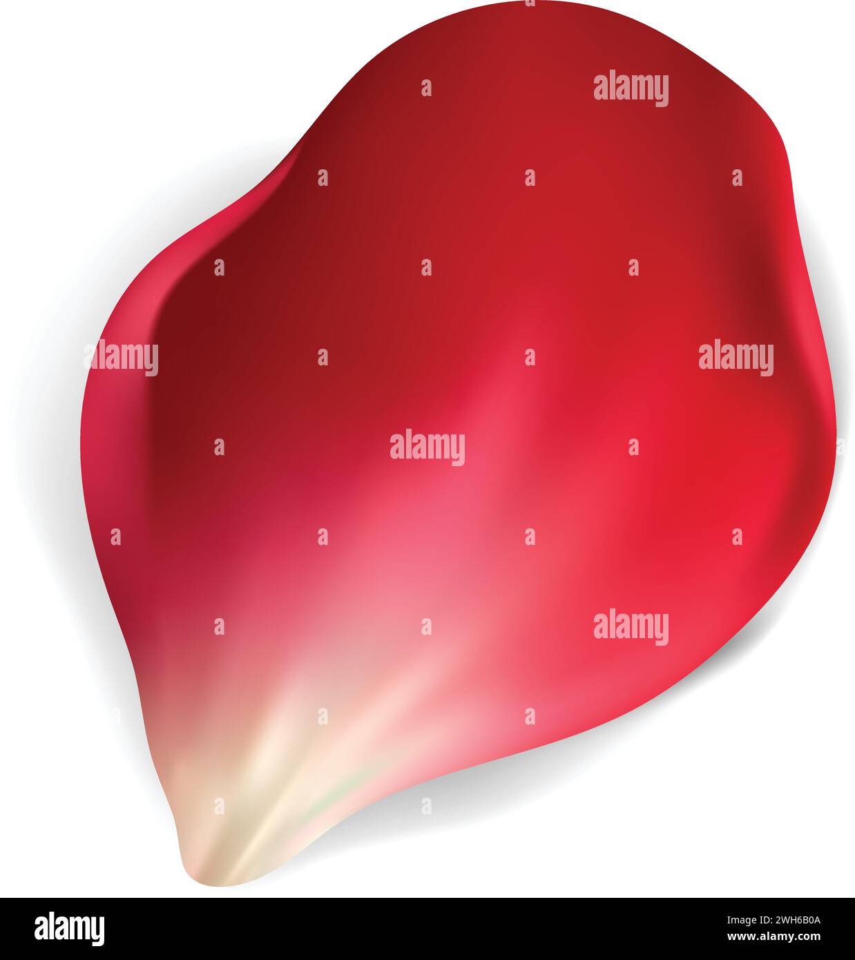 vector realistic rose petal Stock Vector Image & Art - Alamy