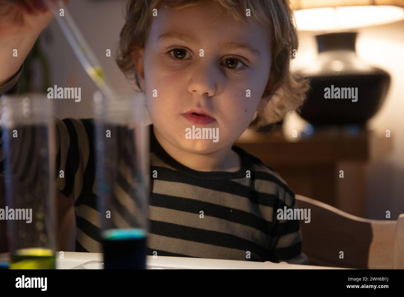 Educational home Learning with chemical experiment for a Caucasian ...