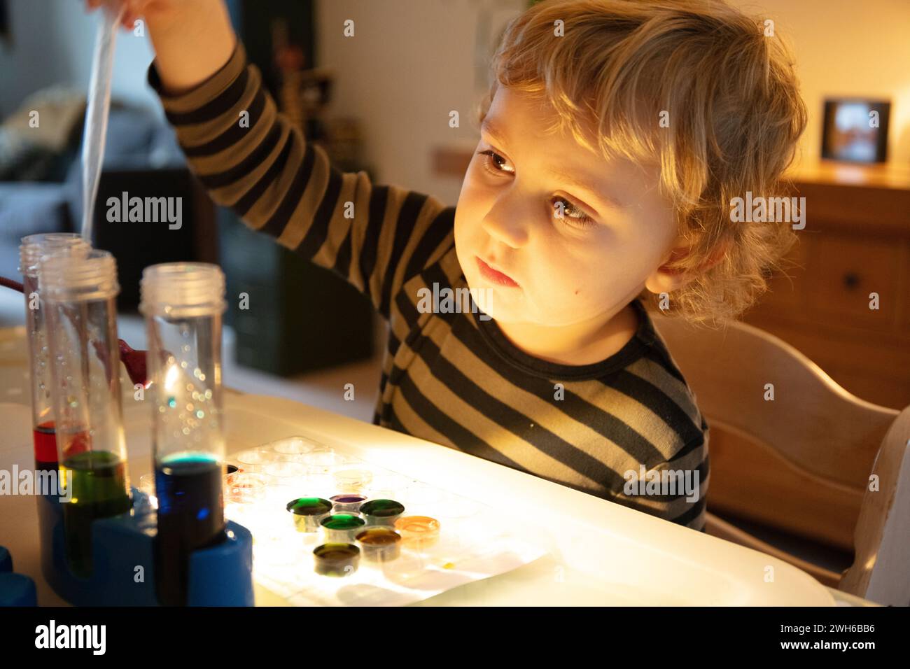 Educational home Learning with chemical experiment for a Caucasian ...