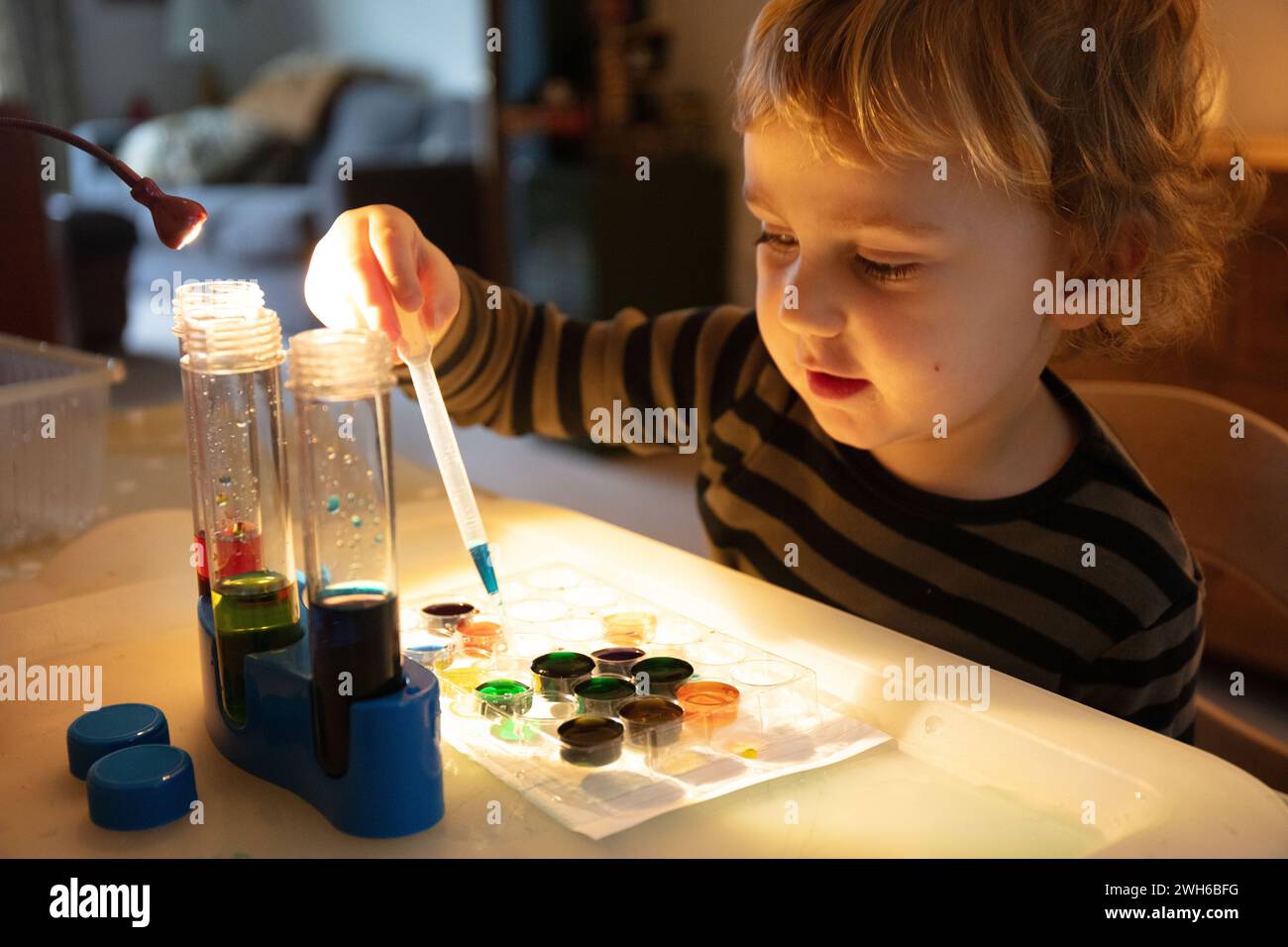 Educational home Learning with chemical experiment for a Caucasian ...