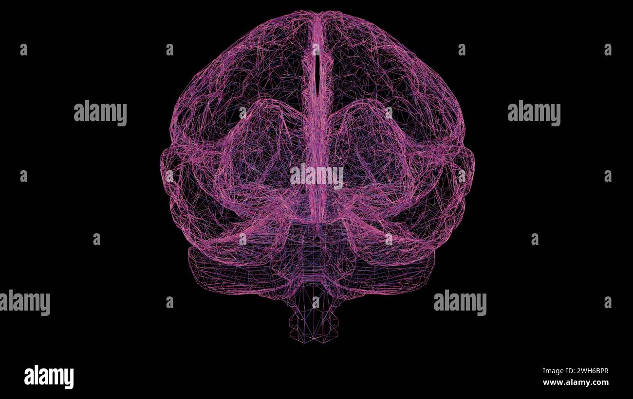 3D holographic brain with various colors and an intriguing image ...