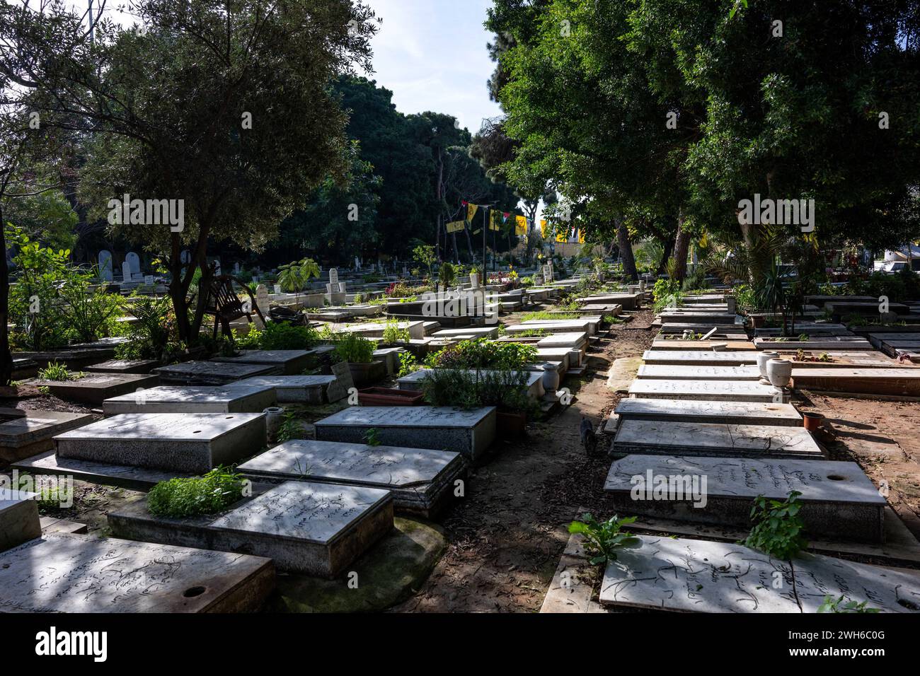 Beirut, Lebanon. 08th Feb, 2024. Grave of Hamas deputy leader Saleh al ...