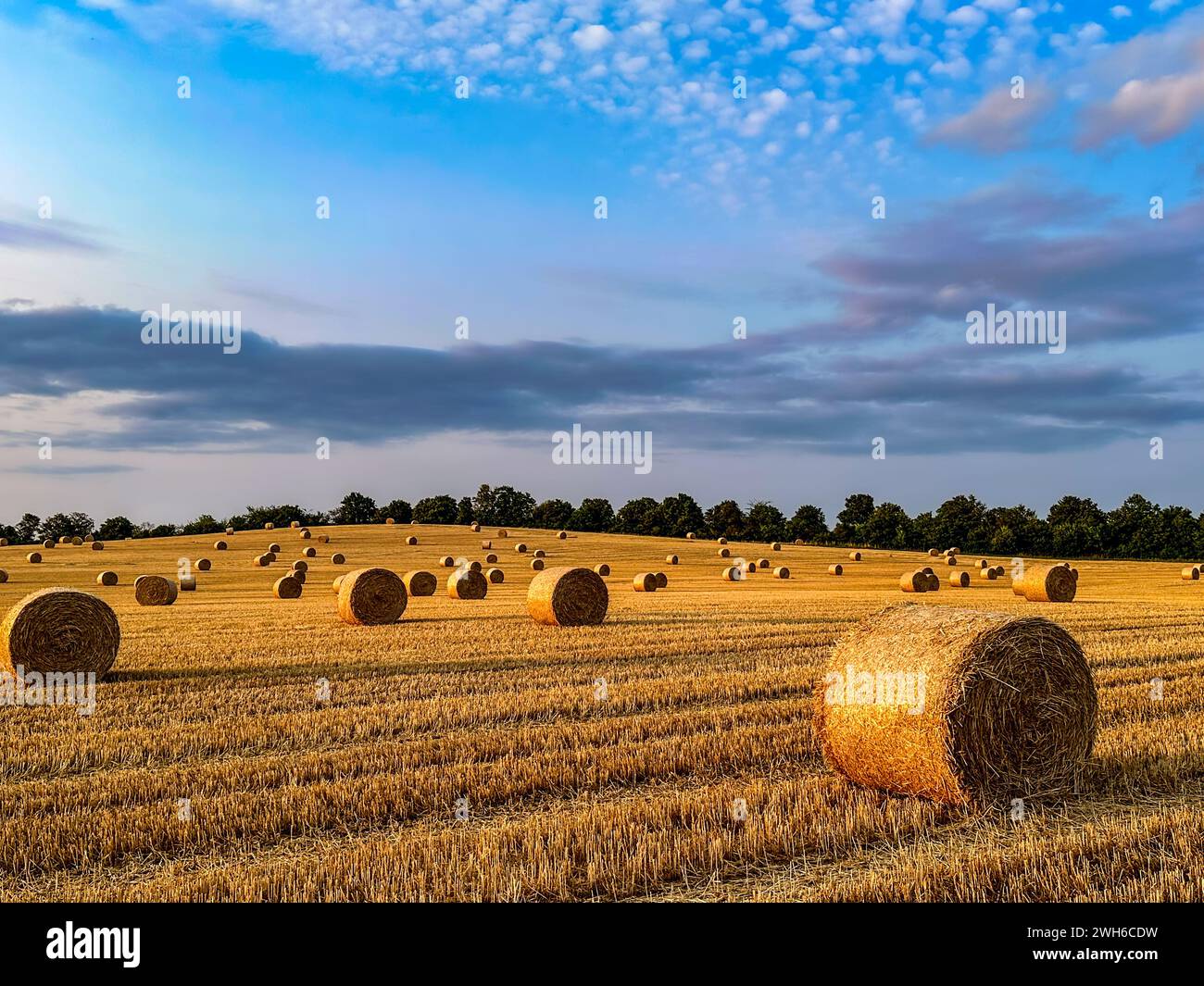 Bales of straw on a stubble field at sunset near Bad Soden, Taunus ...