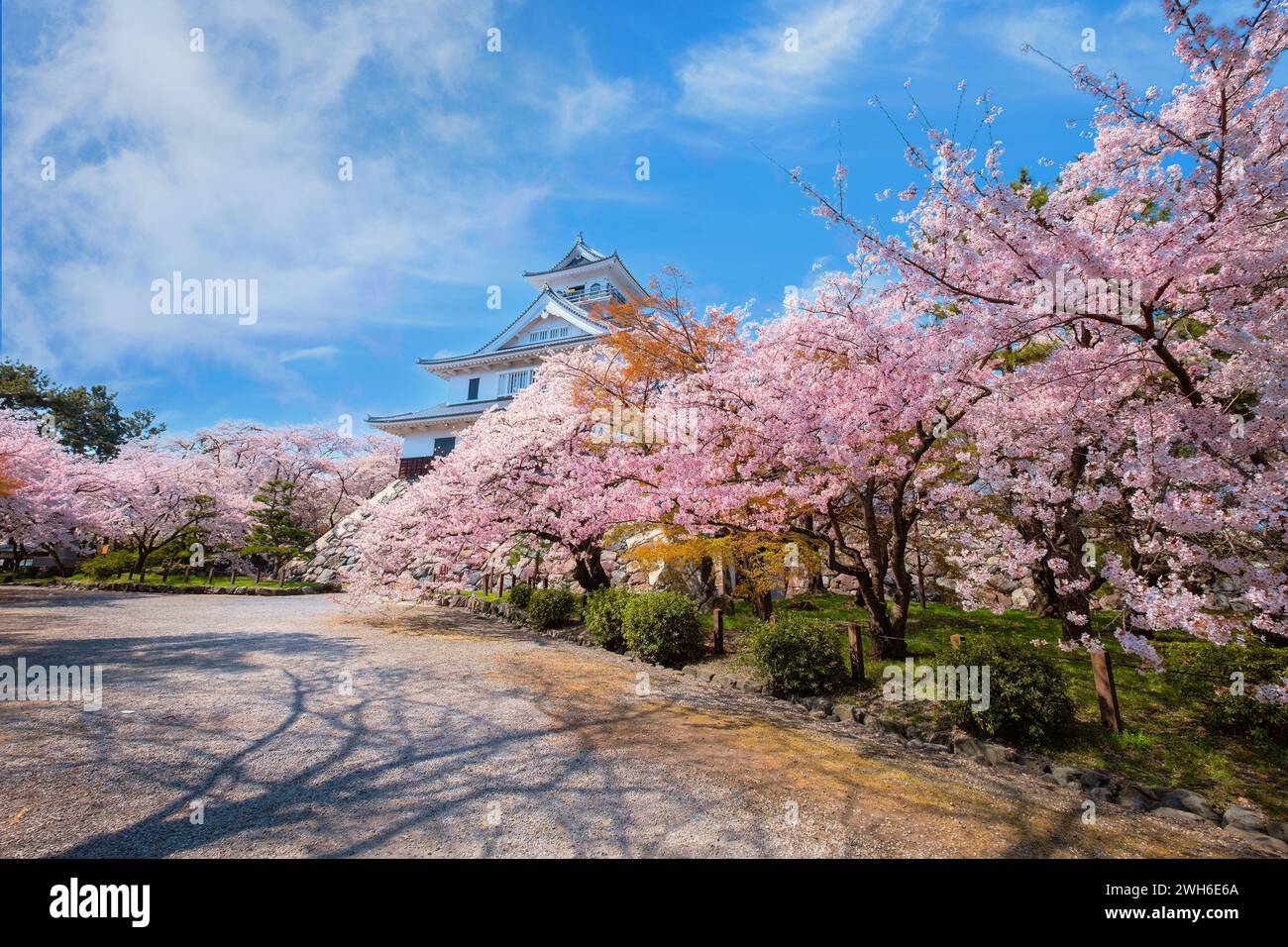 Shiga, Japan - April 3 2023: Nagahama Castle built by feudal lord ...