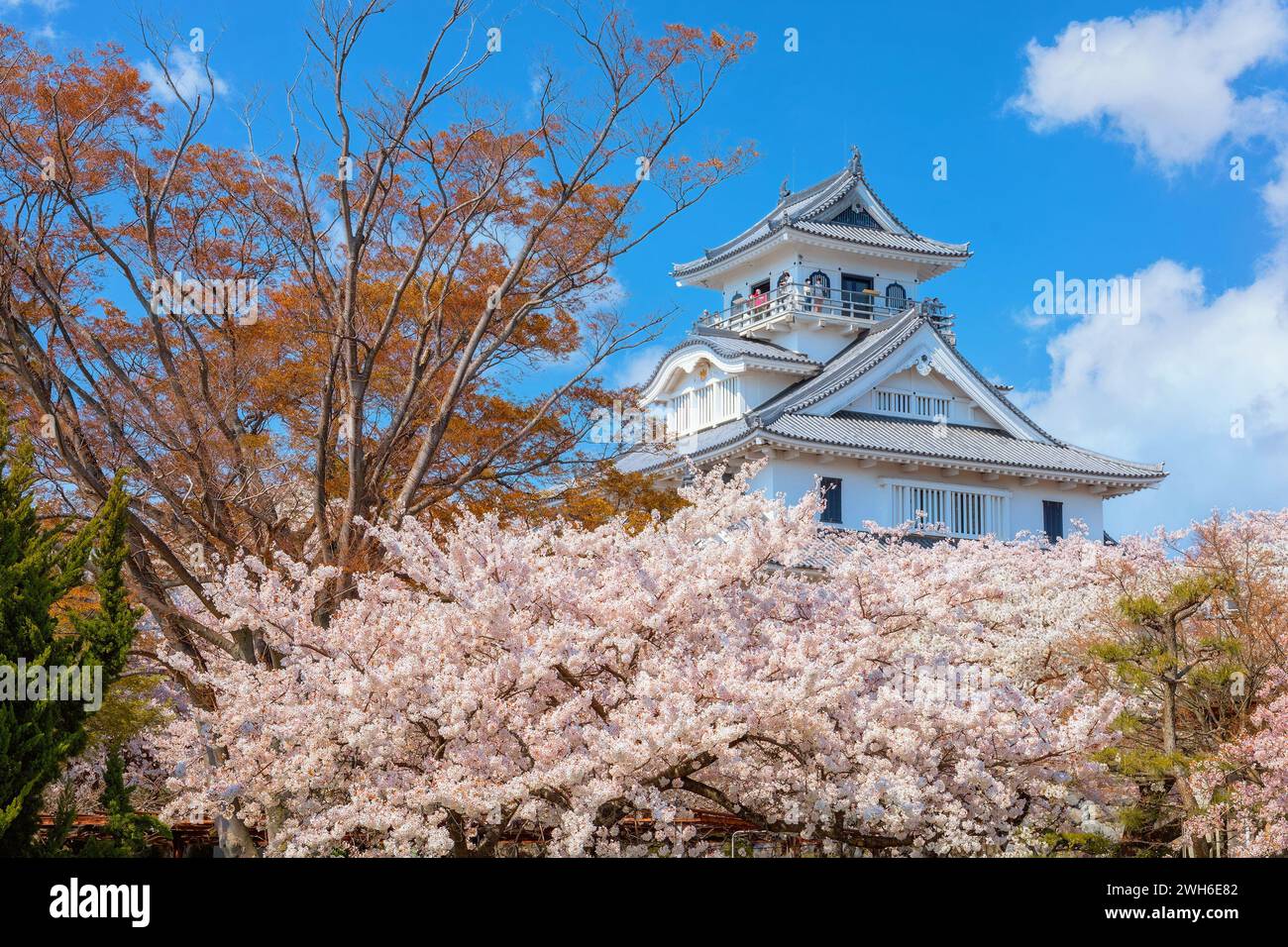 Shiga, Japan - April 3 2023: Nagahama Castle built by feudal lord ...