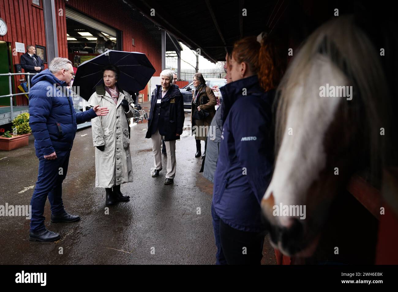 The Princess Royal, Vice Patron of the British Horse Society, during a ...