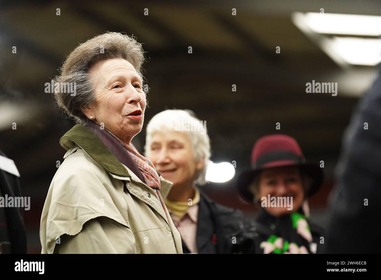 The Princess Royal, Vice Patron of the British Horse Society, during a ...