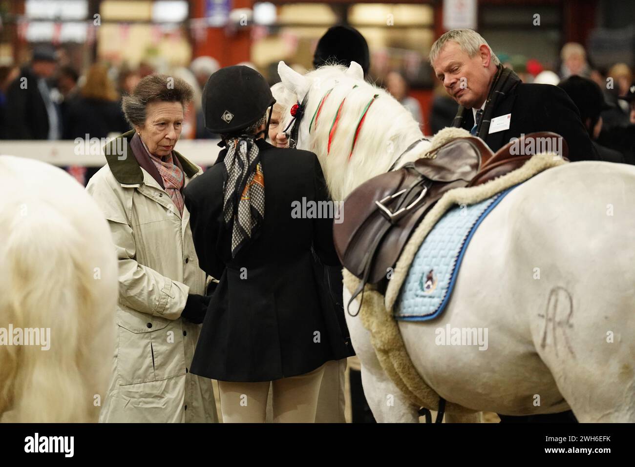 The Princess Royal, Vice Patron of the British Horse Society, during a ...