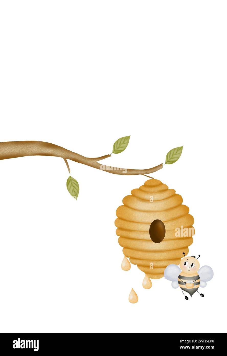 Bee cute watercolor drawing isolate on white background. A beehive and ...