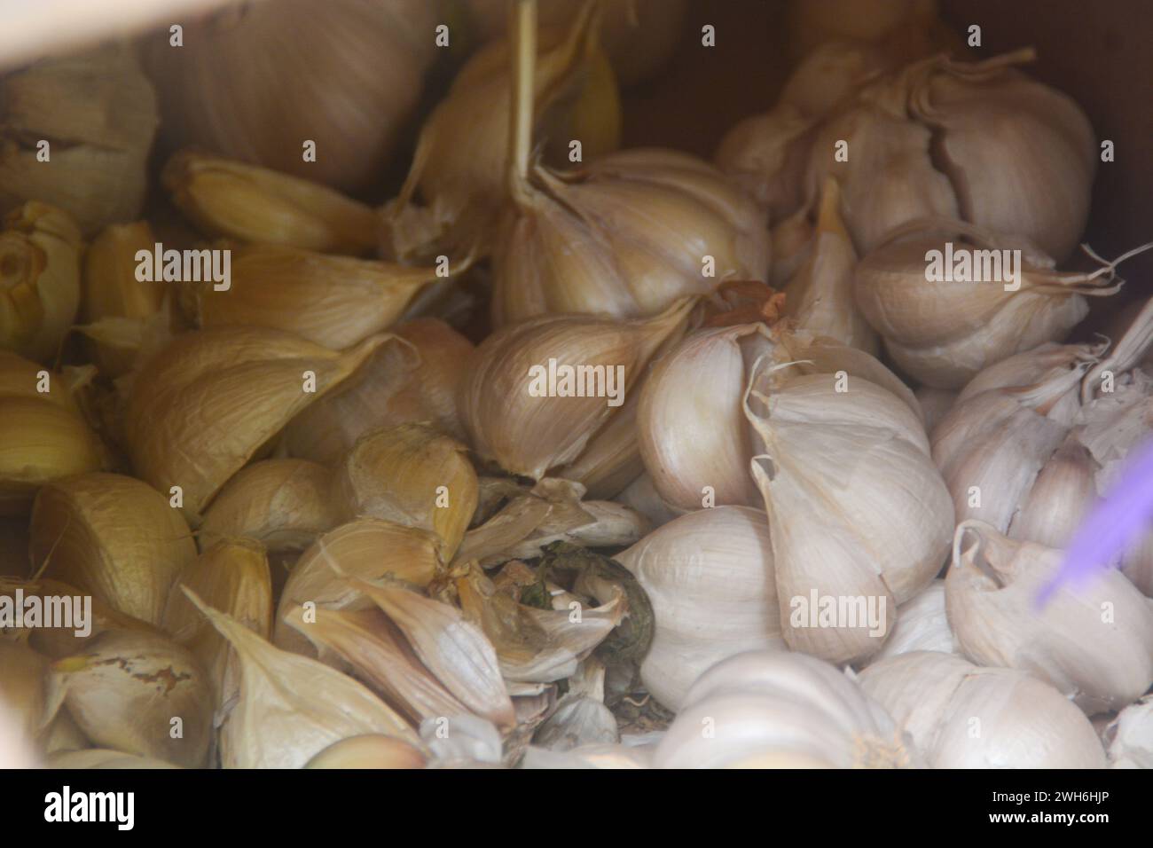 close up view of garlic packaged using transparent plastic. Packaged ...