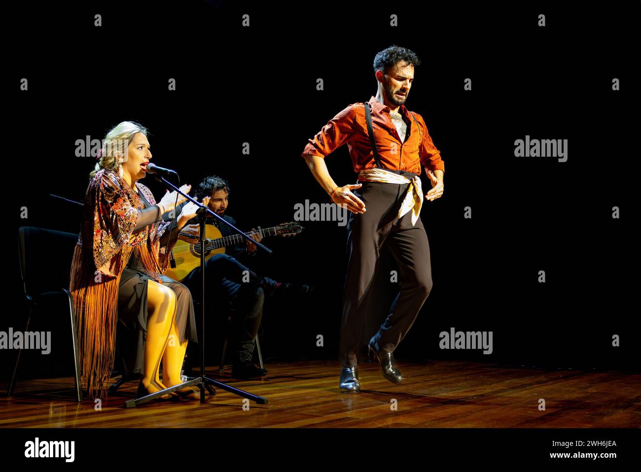 "A flamenco dancer in motion, with a singer and guitarist performing ...