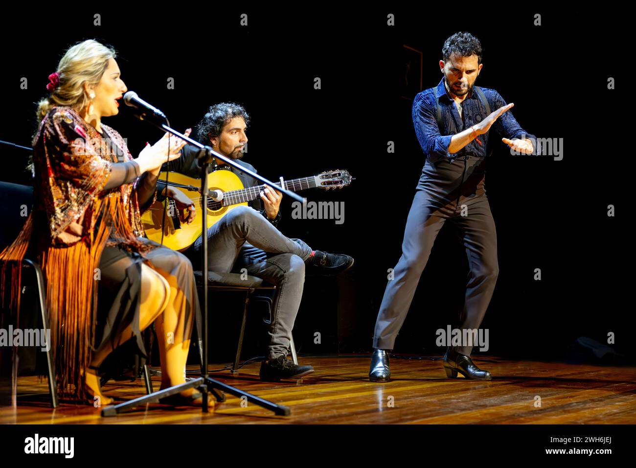 Microphone hand gestures hi-res stock photography and images - Alamy