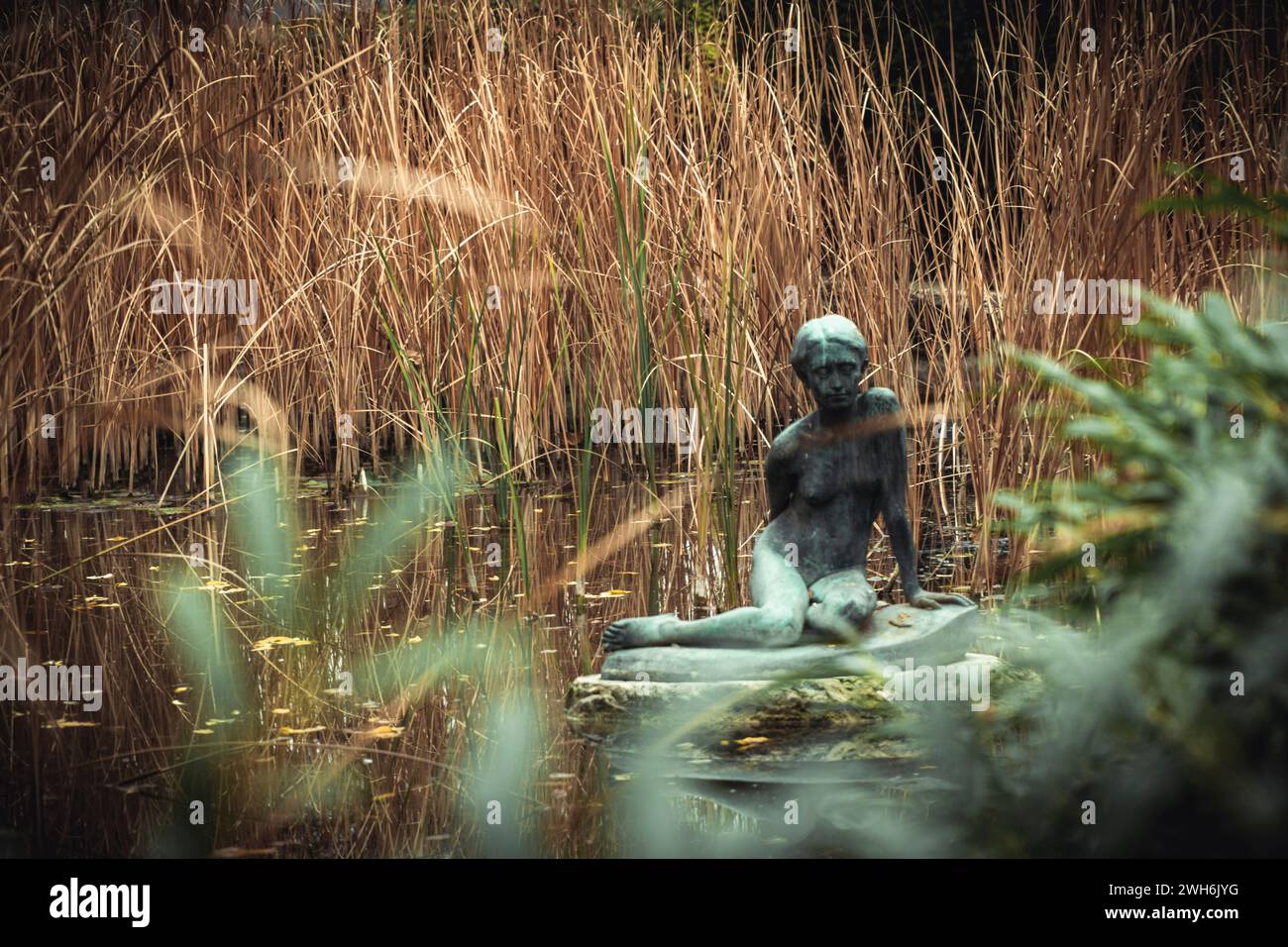 Statue sitting in water surrounded by grass Stock Photo - Alamy