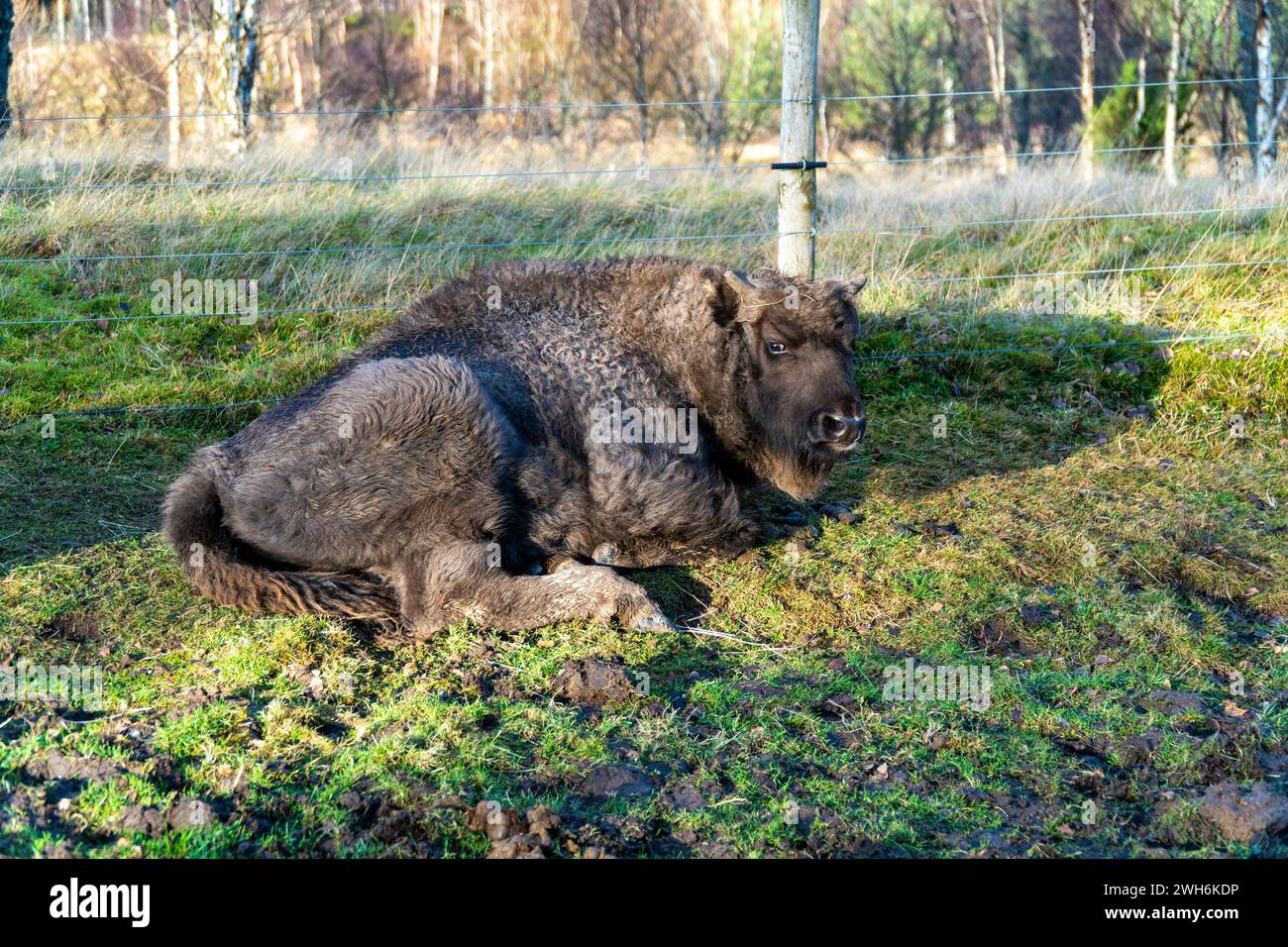 Shade structure hi-res stock photography and images - Alamy