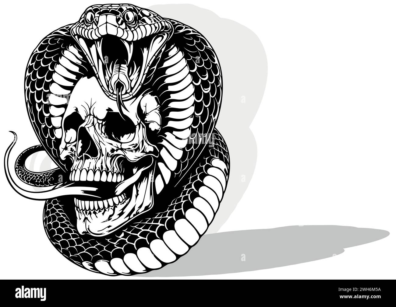 Snake wrapped around Cut Out Stock Images & Pictures - Alamy