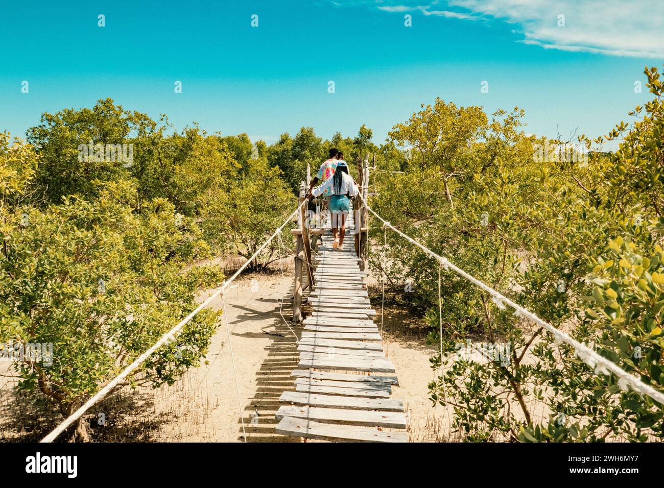 Tourists walking on the Mangrove Boardwalk in Mida Creek during low ...