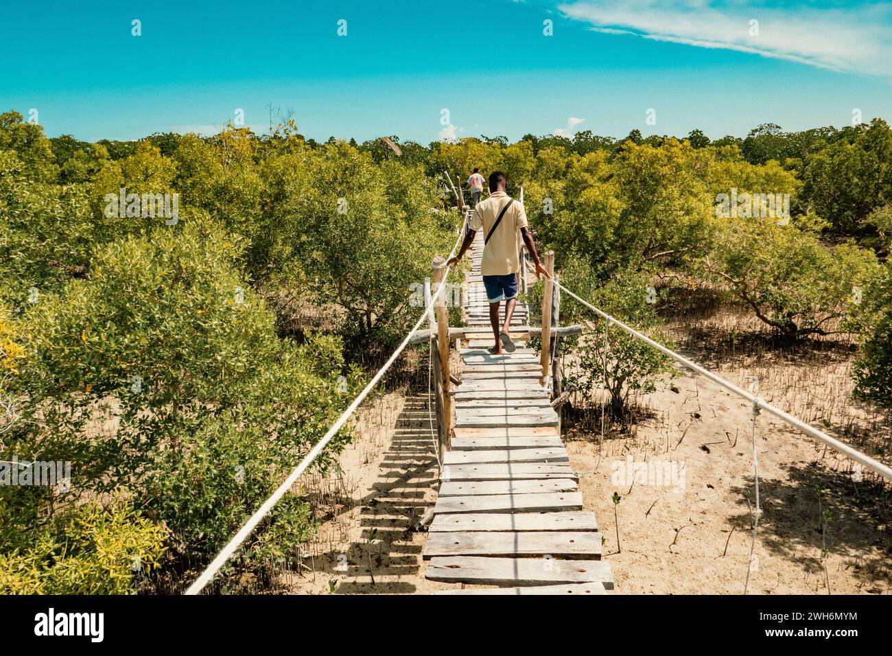 Tourists walking on the Mangrove Boardwalk in Mida Creek during low ...