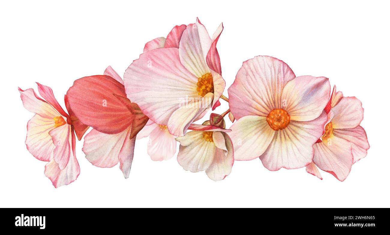 Watercolor pink flowers. Horizontal bouquet with big red petals ...