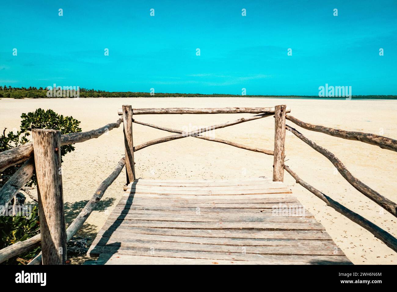 Scenic view of the Mangrove Boardwalk at Mida Creek during low tide in ...