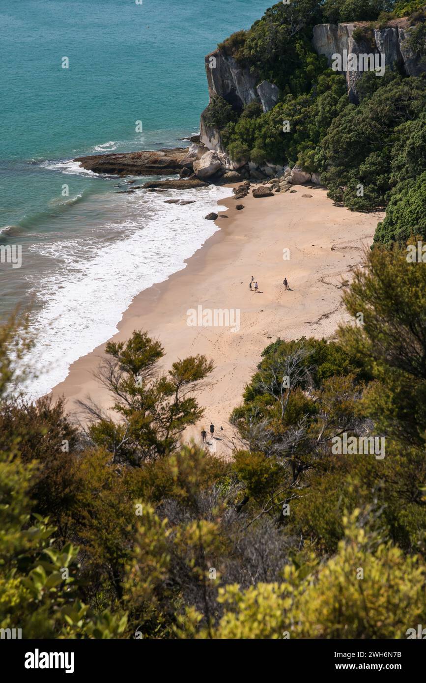 People on the beach at Lonely Bay viewed from Shakespeare Cliff Lookout ...