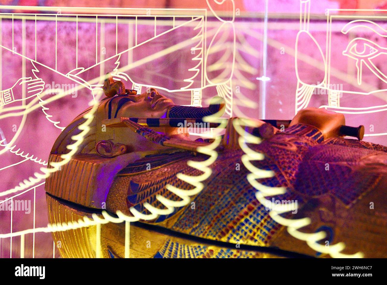 The Tutankhamun exhibition, "Discovering the Forgotten Pharaoh", is now ...