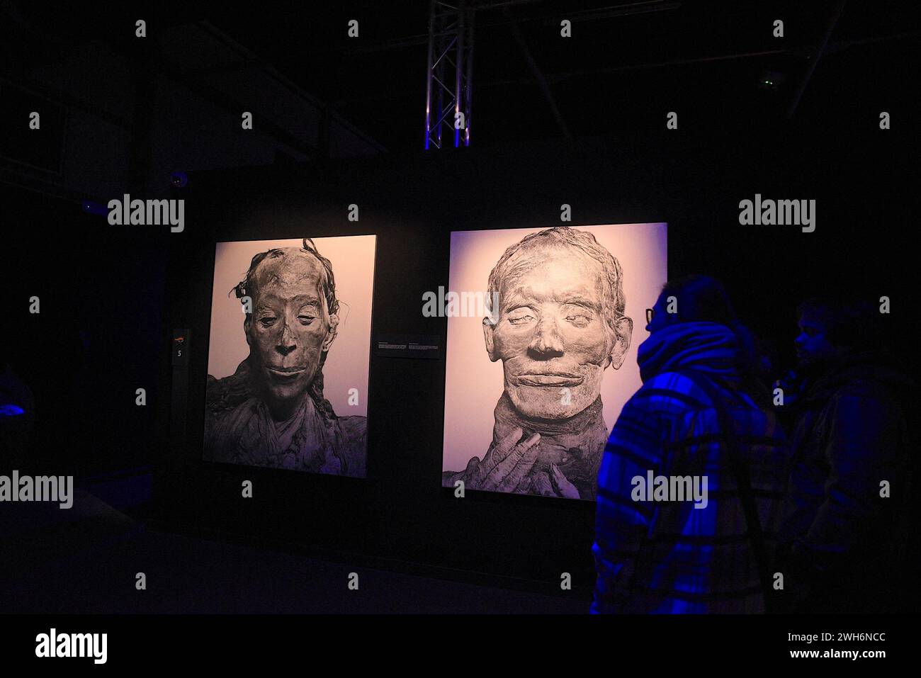 The Tutankhamun exhibition, "Discovering the Forgotten Pharaoh", is now ...