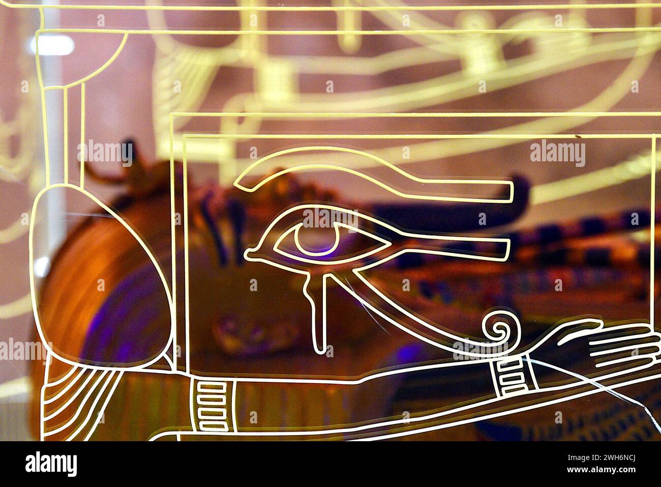 The Tutankhamun exhibition, "Discovering the Forgotten Pharaoh", is now ...