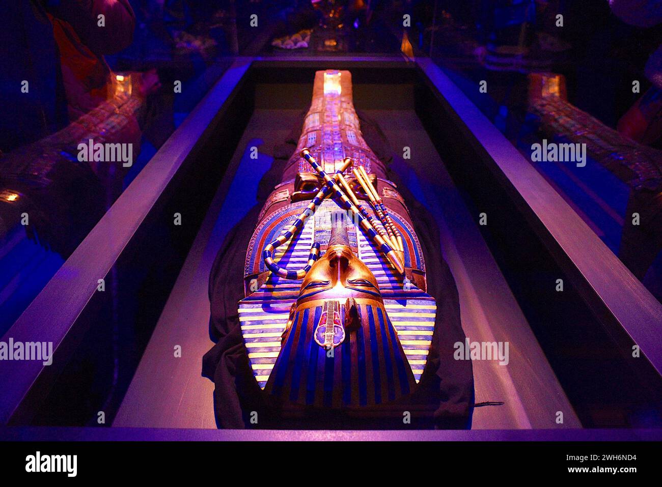 The Tutankhamun exhibition, "Discovering the Forgotten Pharaoh", is now ...