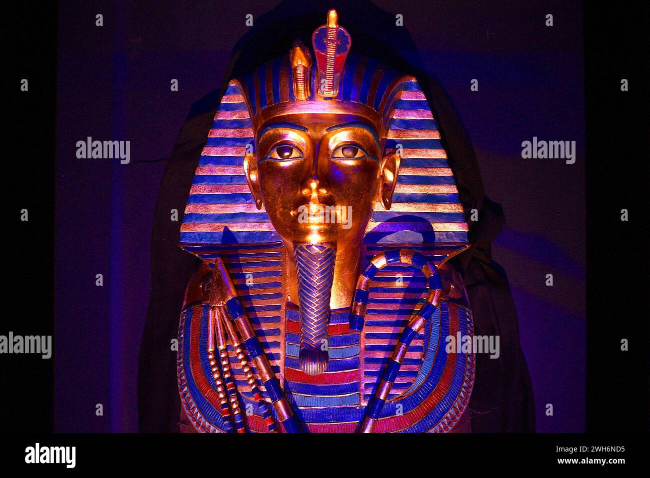 The Tutankhamun exhibition, "Discovering the Forgotten Pharaoh", is now ...