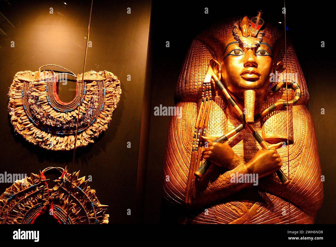 The Tutankhamun exhibition, "Discovering the Forgotten Pharaoh", is now ...