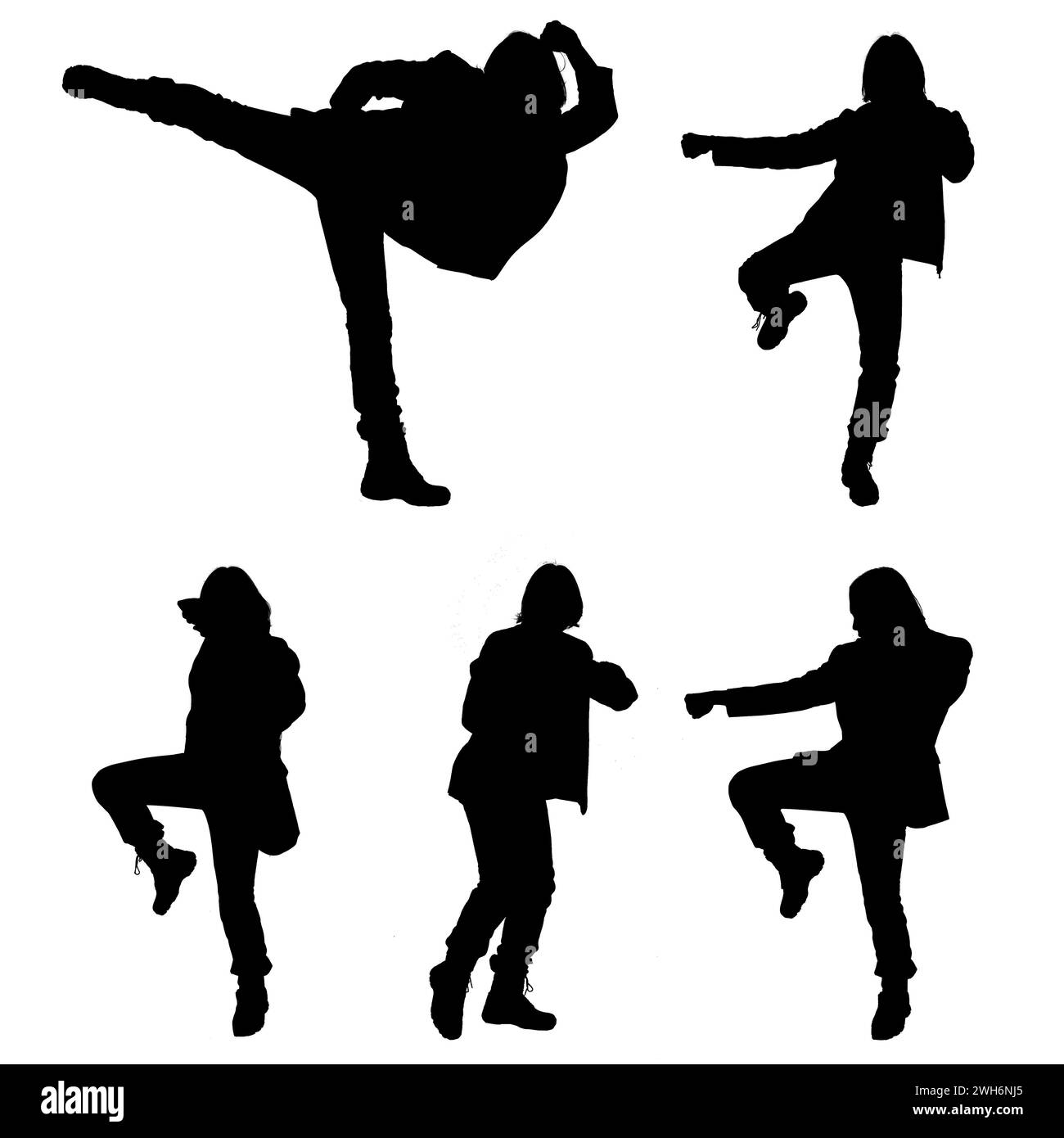 Silhouettes of karate fighter man in activity Stock Photo - Alamy
