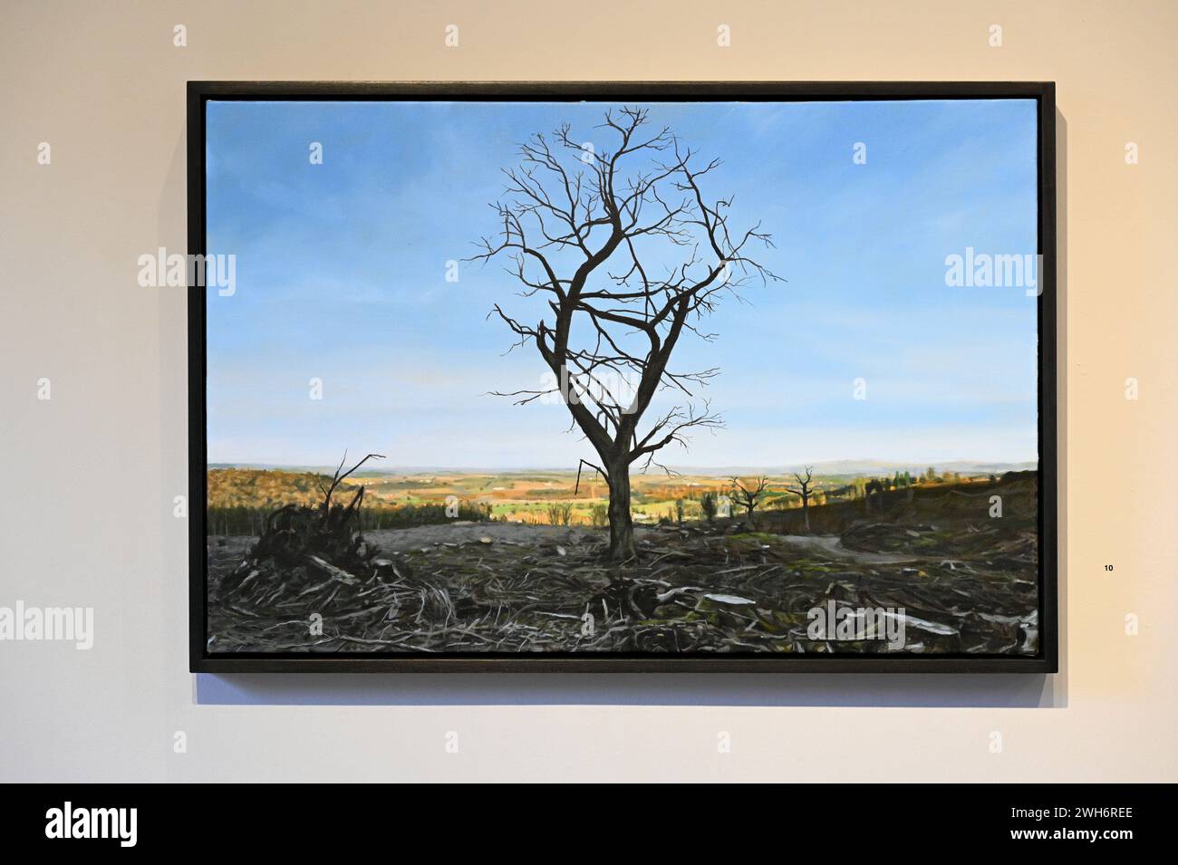 Edinburgh, Scotland, UK. 08th Feb 2024. The Scottish Gallery in Dundas ...