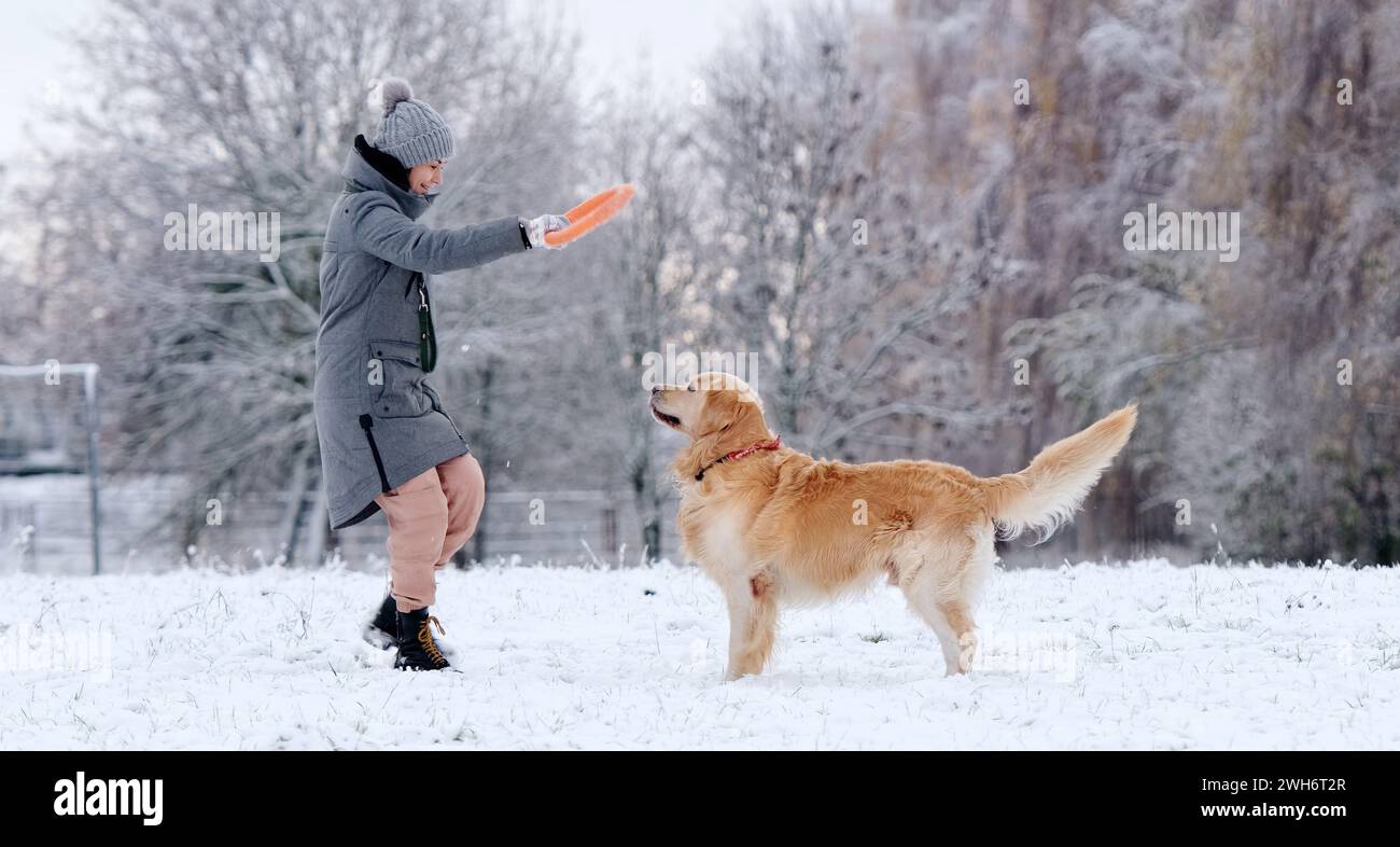 Girl Throwing Ring Toy To Adorable Golden Retriever Dog On A Snow Field ...