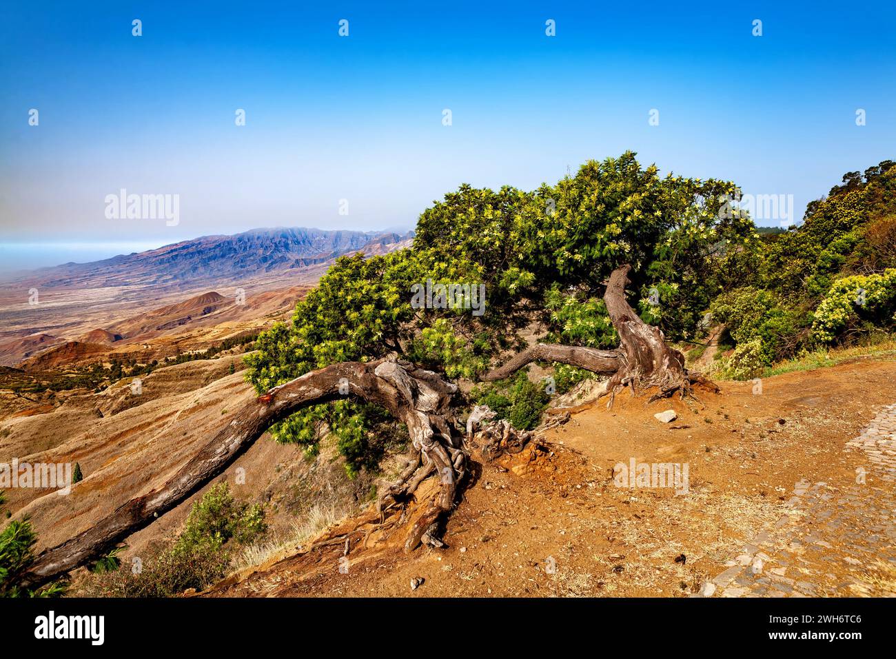 Mountain landscape near Pico da Cruz , Santo Antao Island, Cape Verde ...