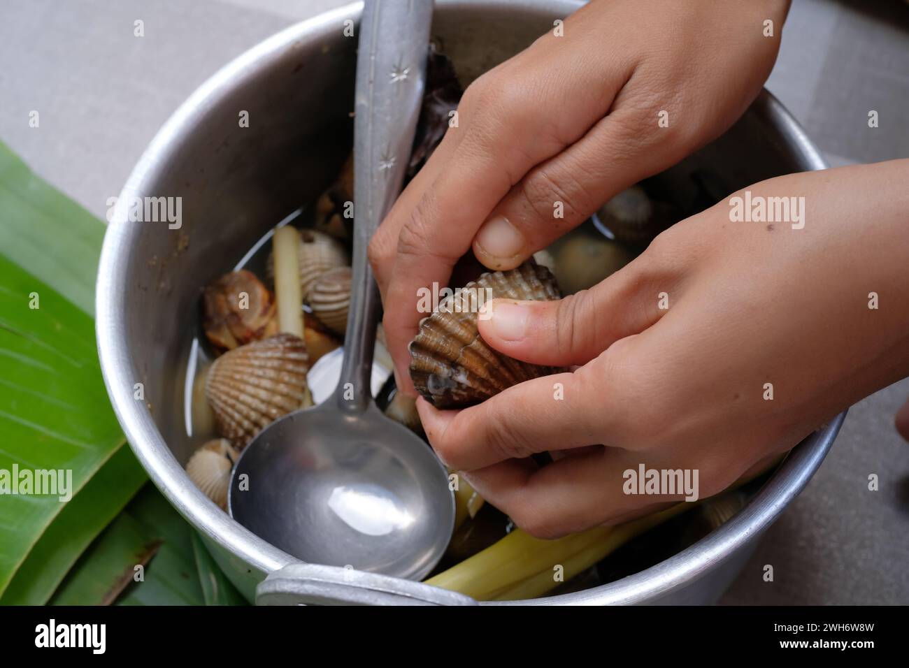 The woman's hand removes the mussel from its shell Stock Photo - Alamy