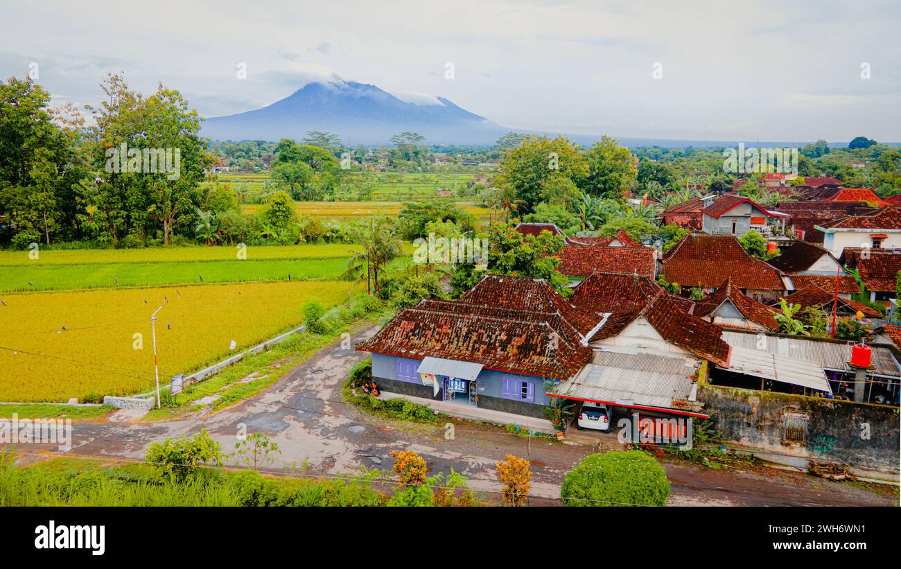 orning view of rice fields and mountains Stock Photo - Alamy
