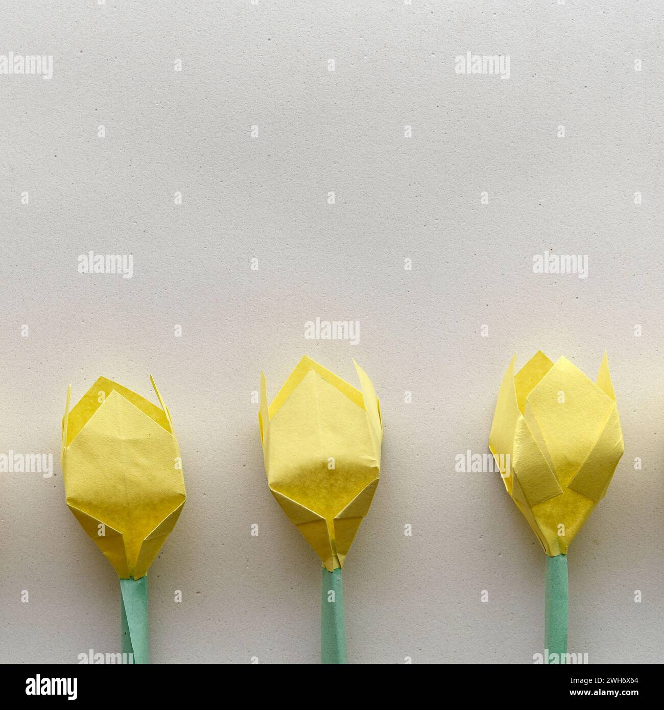 origami tulips on white background Stock Photo - Alamy